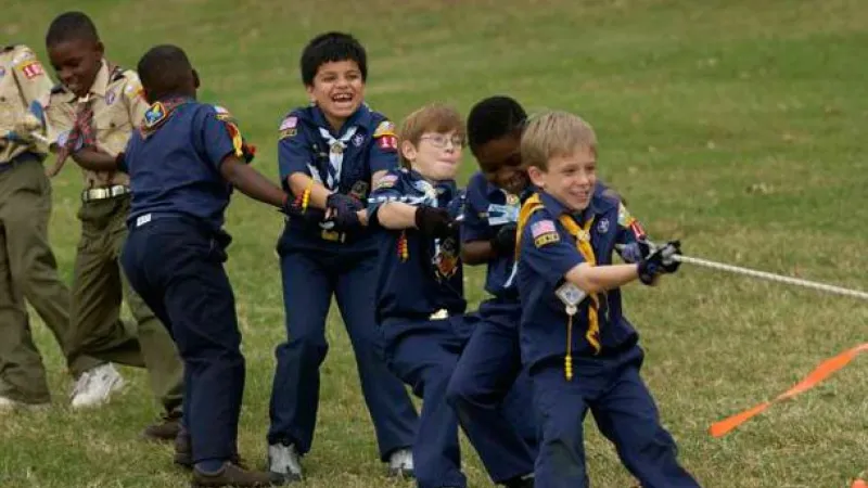 Cub Scouts Get Another Reason To Play Video Games - Game Informer