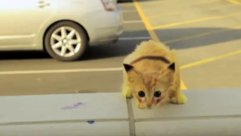 How To Catch A Real Pikachu - Game Informer